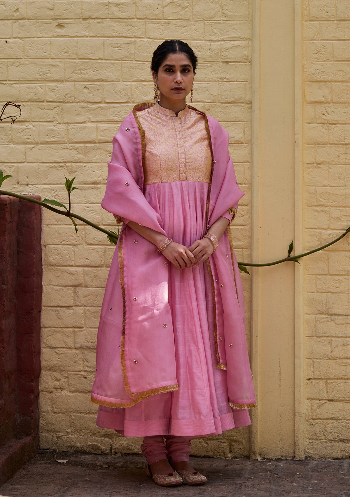 Gulabi Sayonee Anarkali